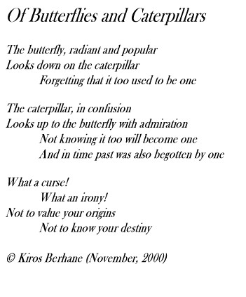 Of Butterflies and Caterpillars - Kiros Berhane